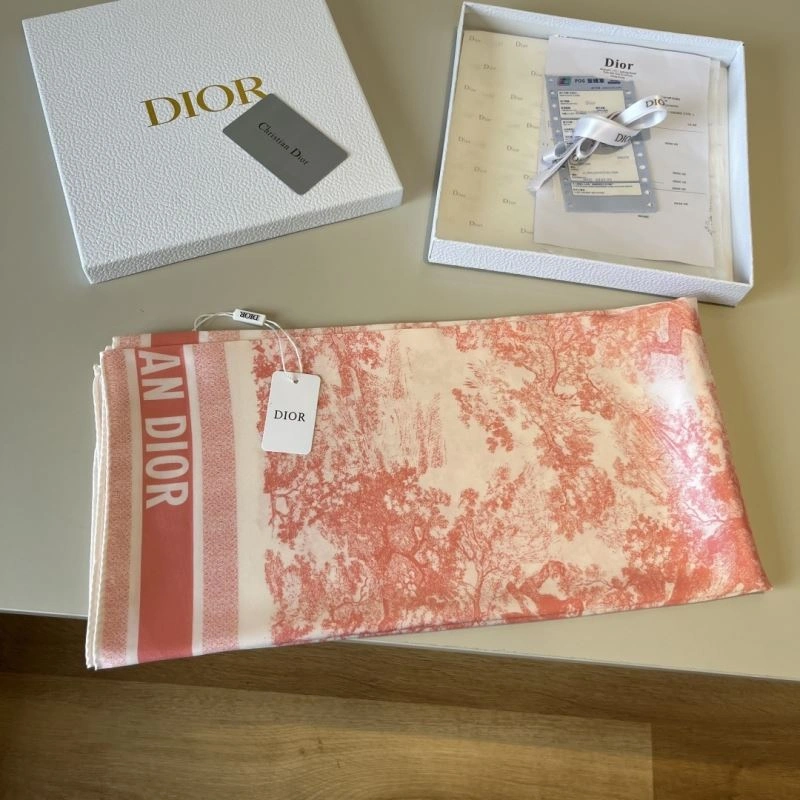 Discounted Christian Dior Scarf