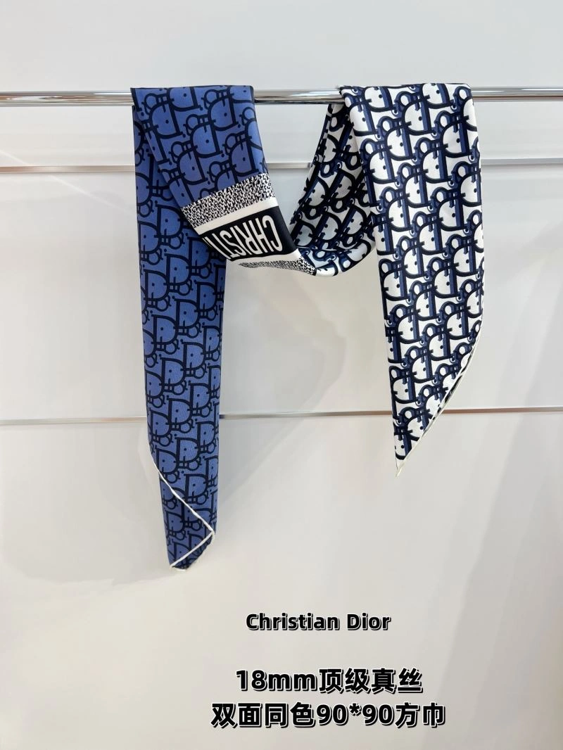 Top match Christian Dior Scarf
