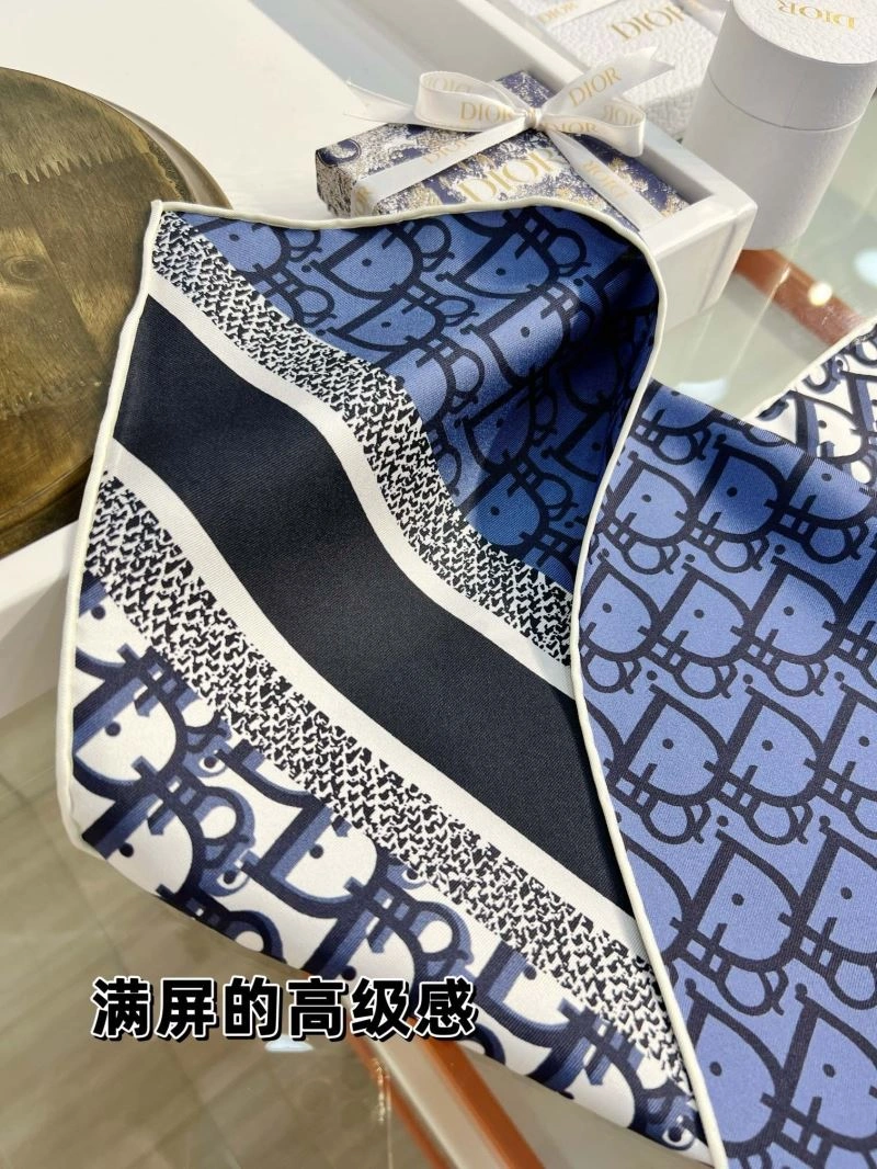 Top match Christian Dior Scarf