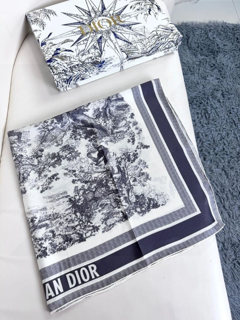 High accuracy Christian Dior Scarf