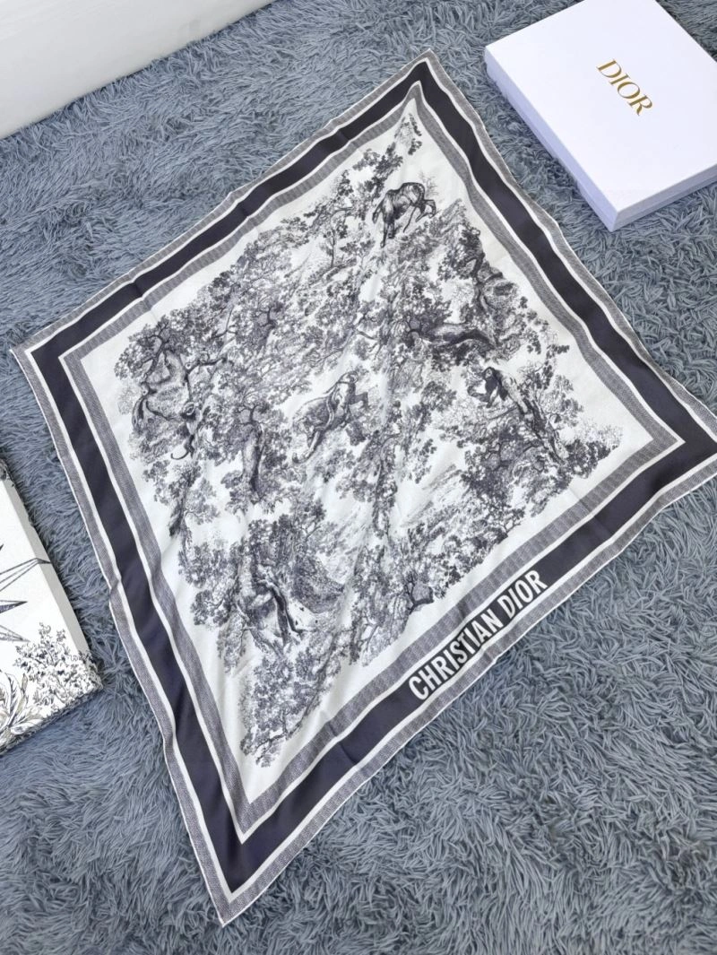 High accuracy Christian Dior Scarf