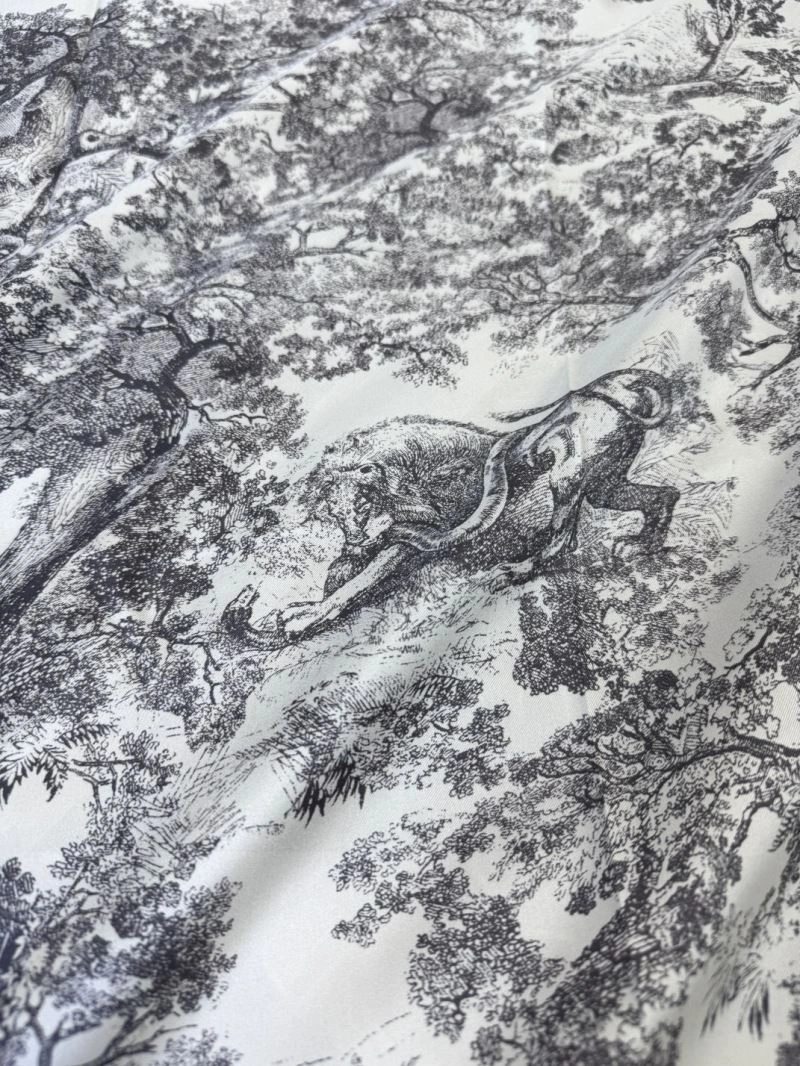 High accuracy Christian Dior Scarf