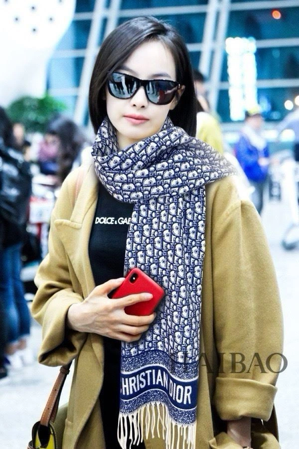 Christian Dior Scarf