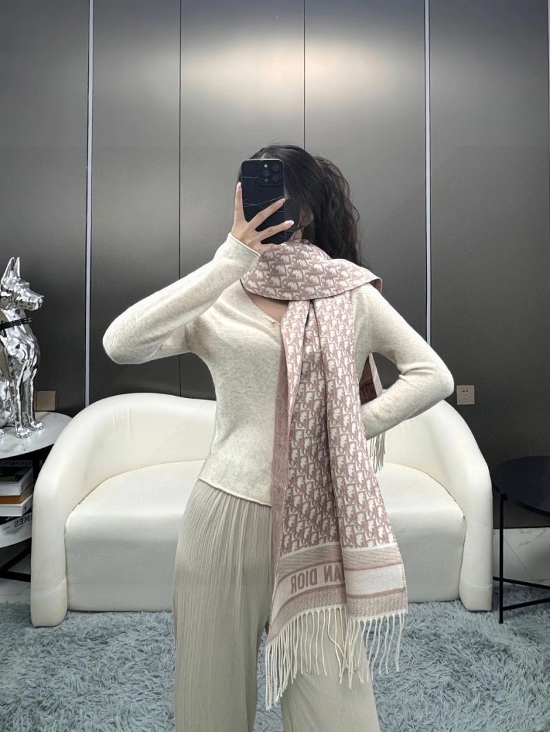 Precise copy Christian Dior Scarf