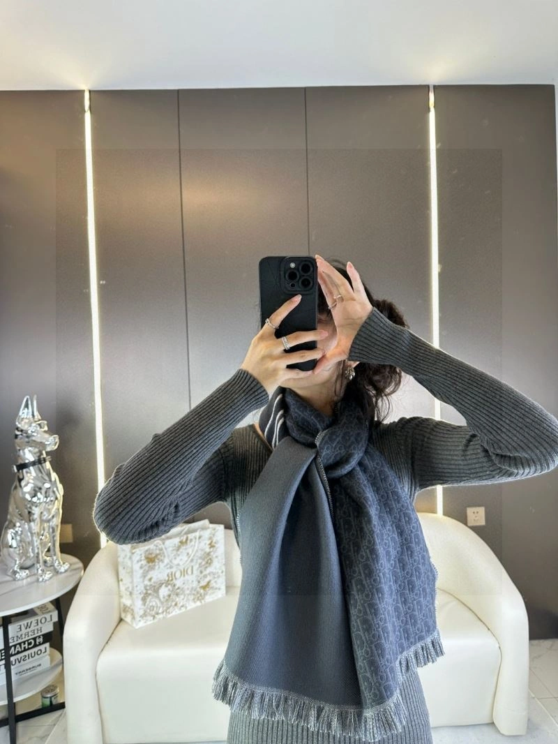 Mirror quality Christian Dior Scarf