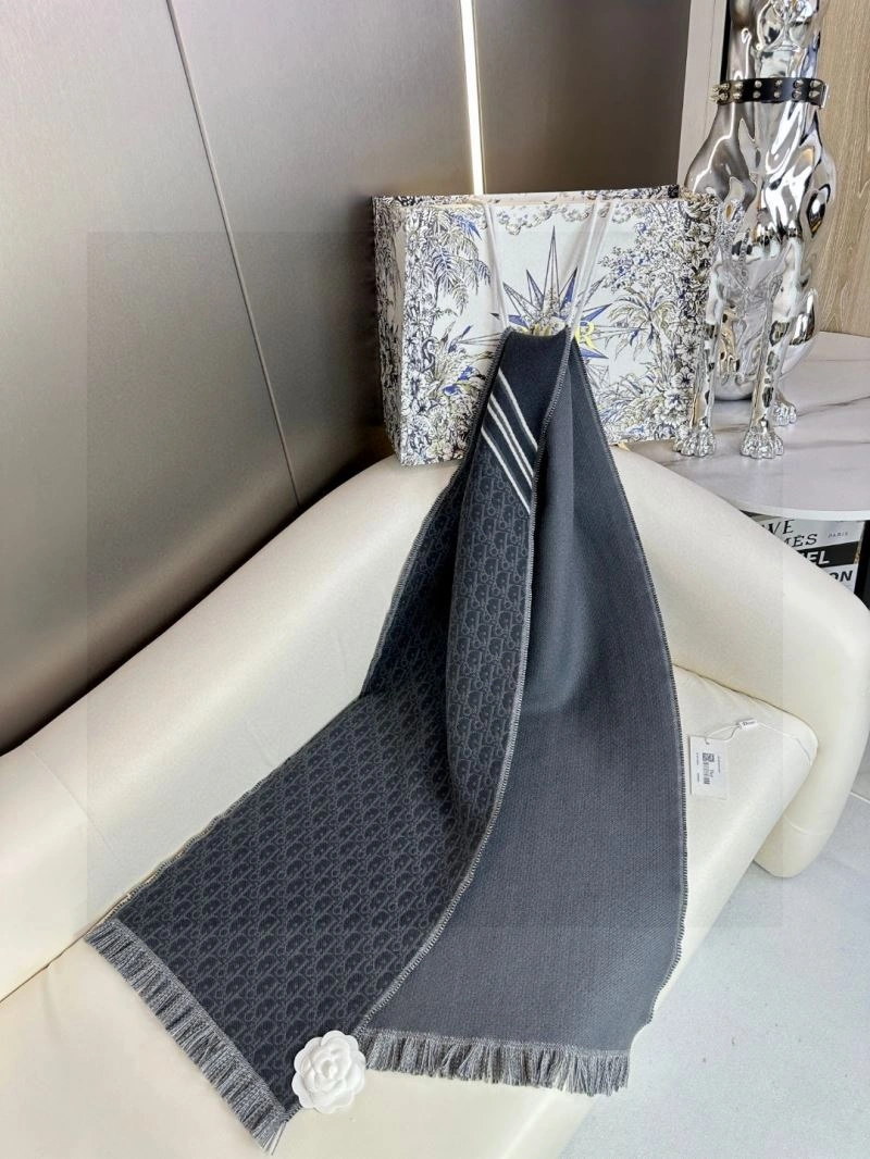 Mirror quality Christian Dior Scarf