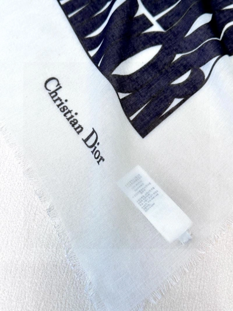 1:1 copy Christian Dior Scarf