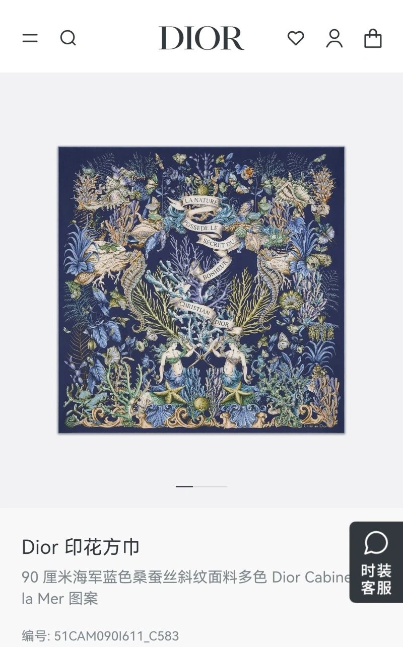 Christian Dior Scarf