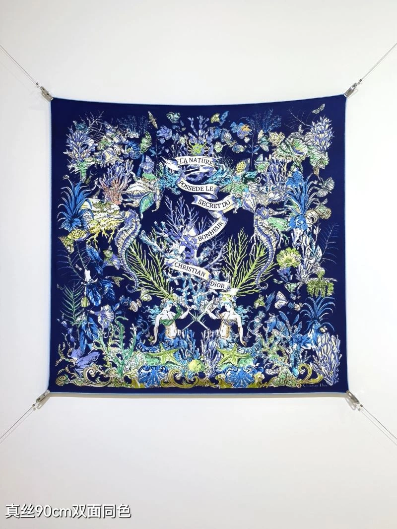 Value-priced Christian Dior Scarf