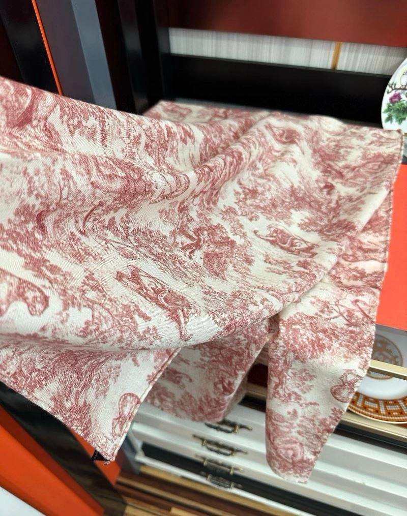 Indistinguishable Christian Dior Scarf