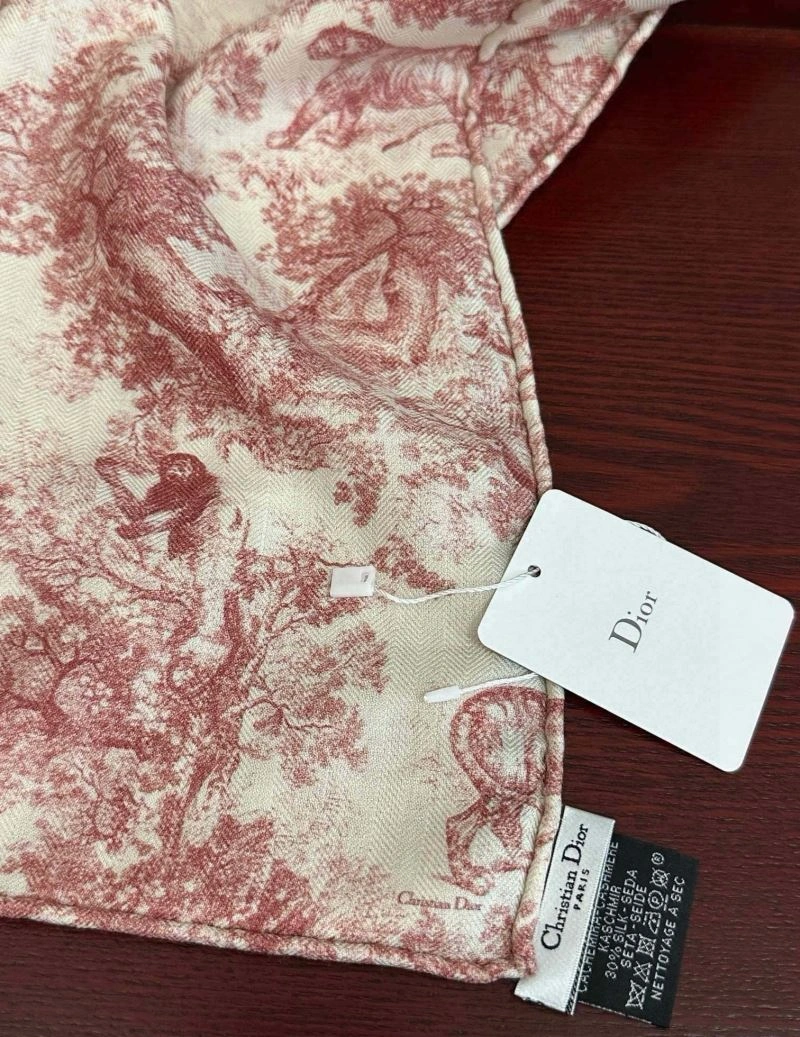 Indistinguishable Christian Dior Scarf