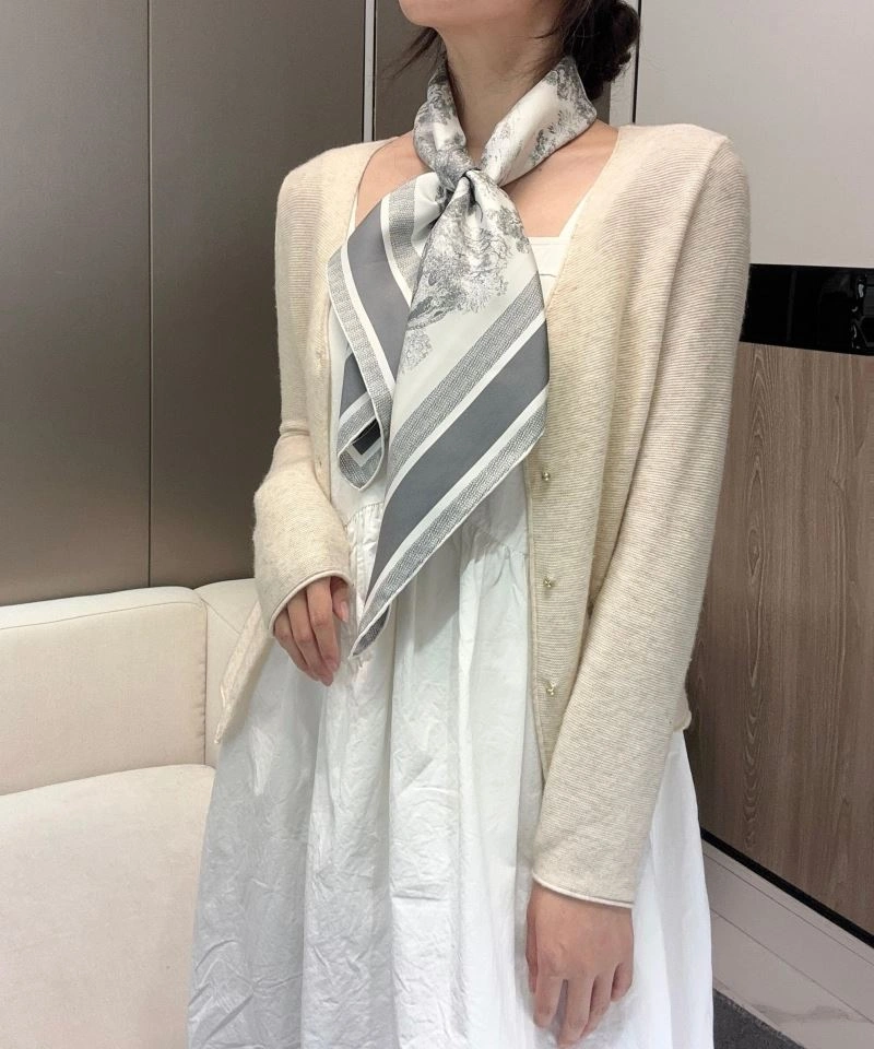 Bargain Christian Dior Scarf