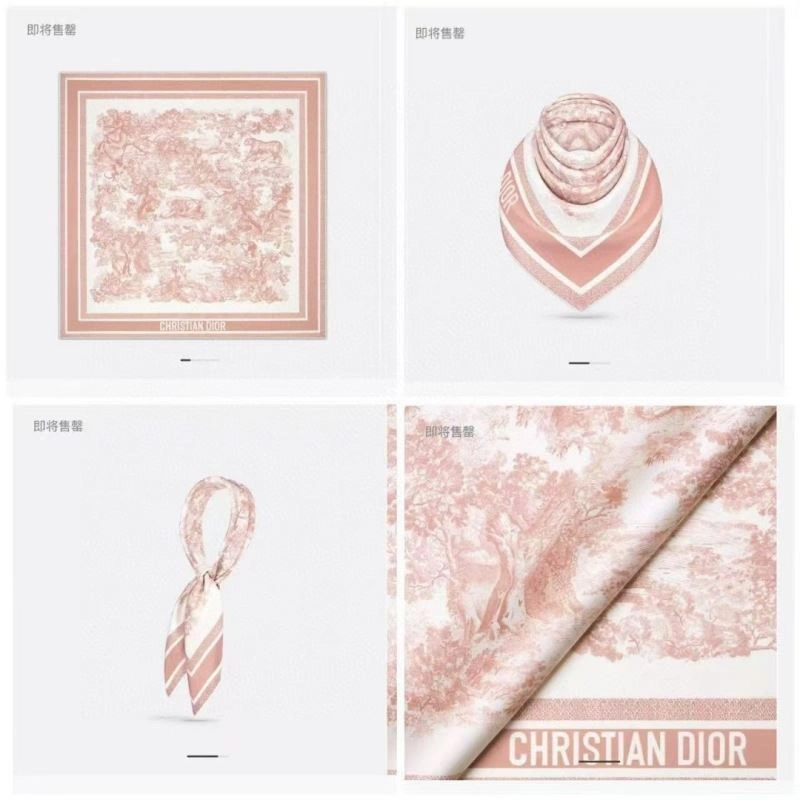 Christian Dior Scarf