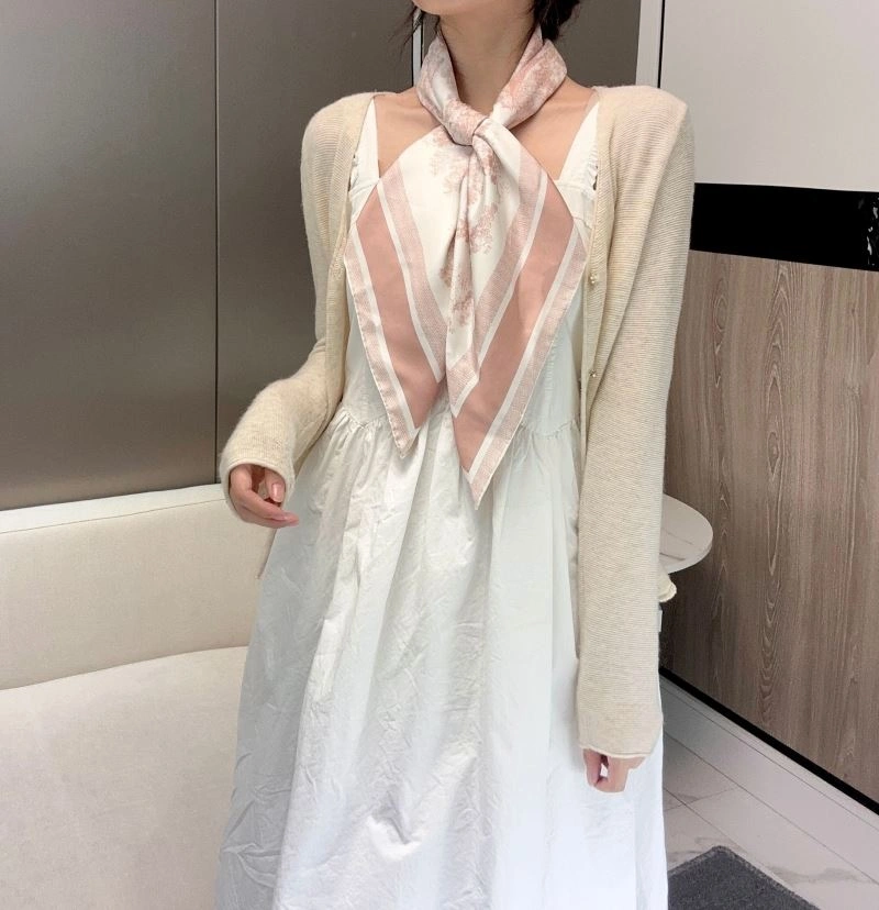 Economical Christian Dior Scarf