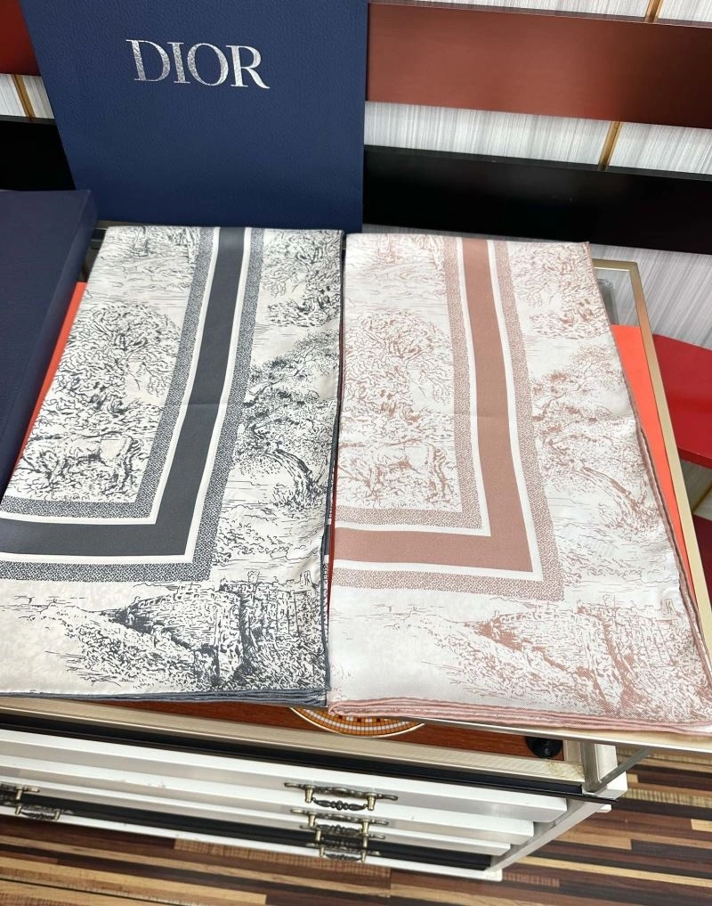 Discounted Christian Dior Scarf