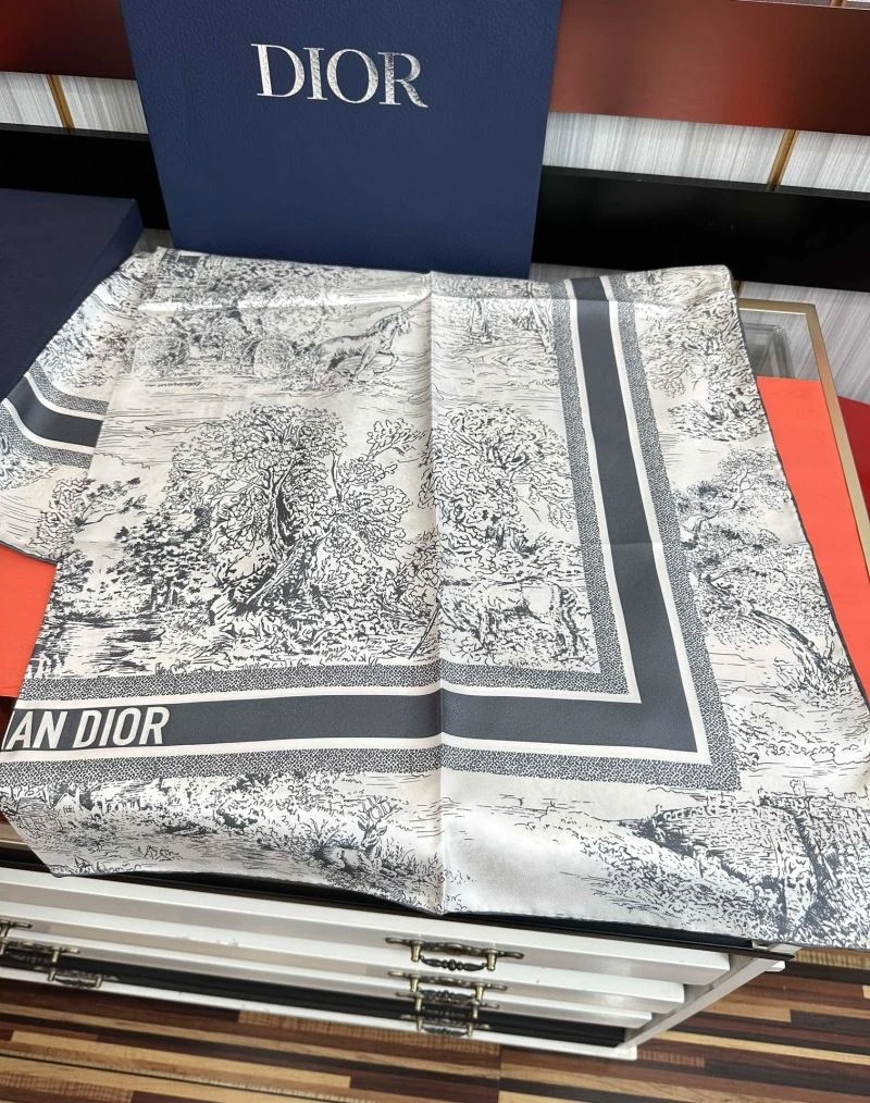 Discounted Christian Dior Scarf