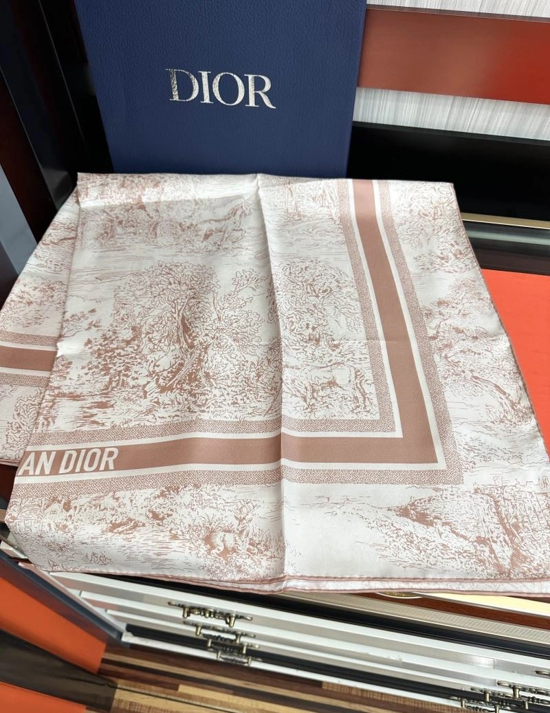 Discounted Christian Dior Scarf