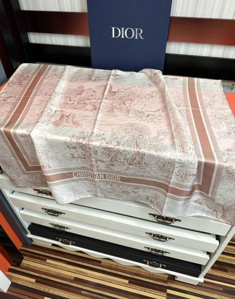 Discounted Christian Dior Scarf