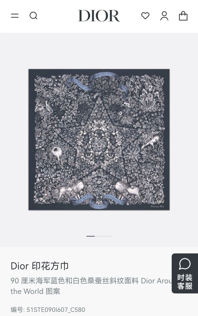 Christian Dior Scarf