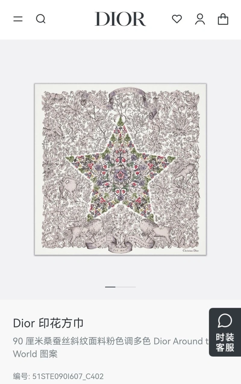 Christian Dior Scarf