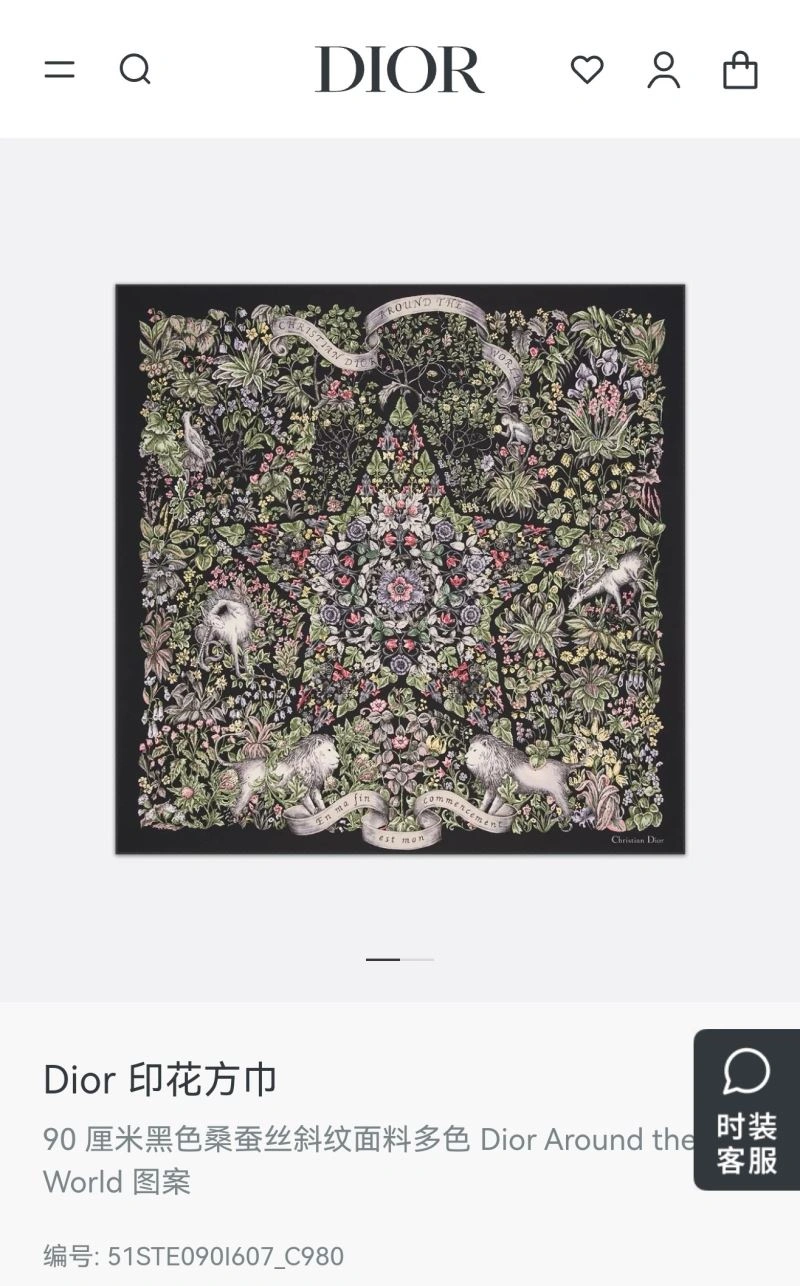 Christian Dior Scarf