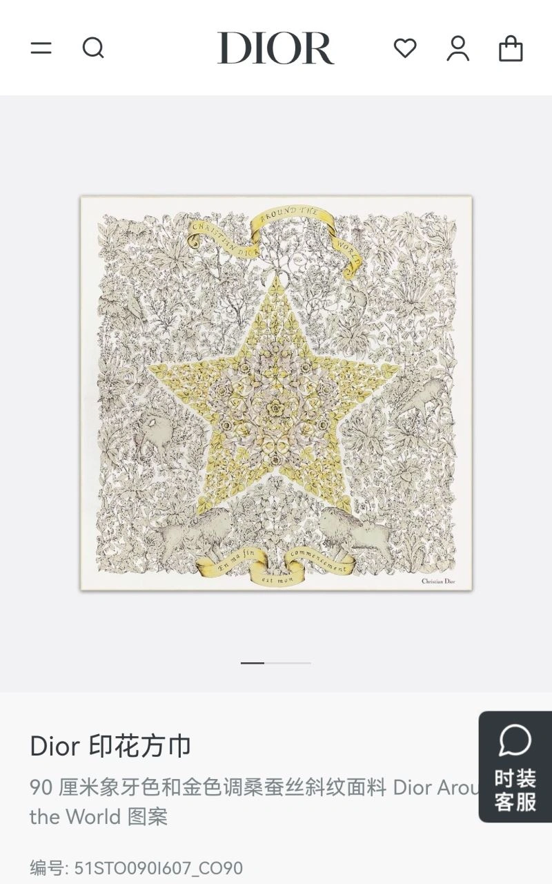 Christian Dior Scarf