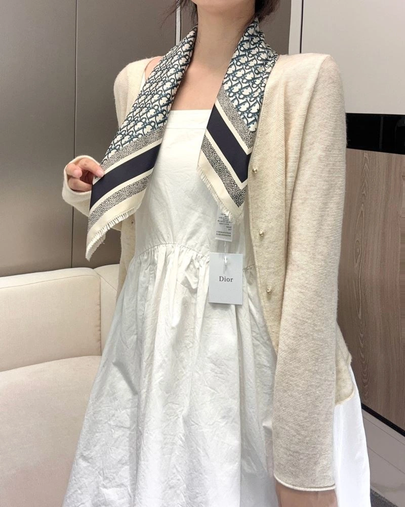 Reasonably priced Christian Dior Scarf