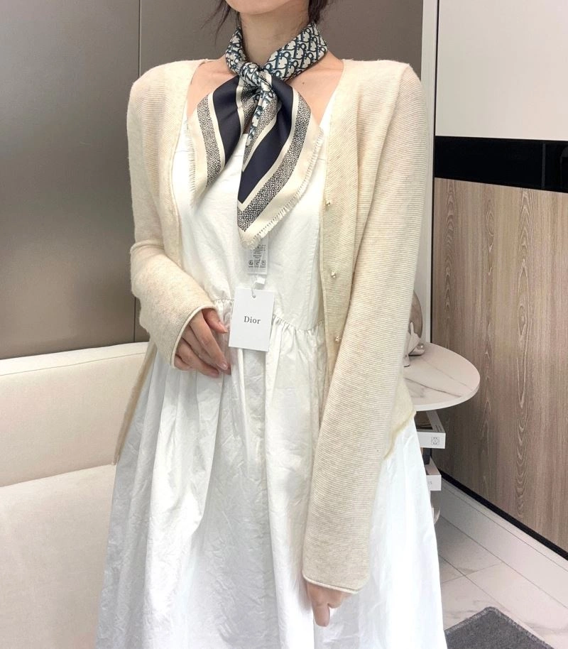 Reasonably priced Christian Dior Scarf