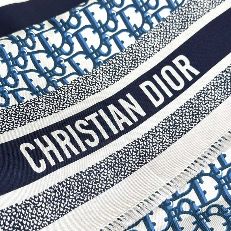 Reasonably priced Christian Dior Scarf