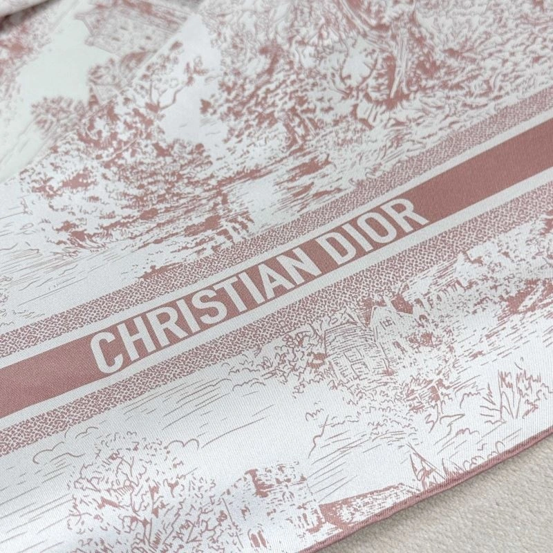 Bargain Christian Dior Scarf