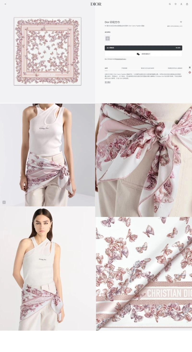 Christian Dior Scarf