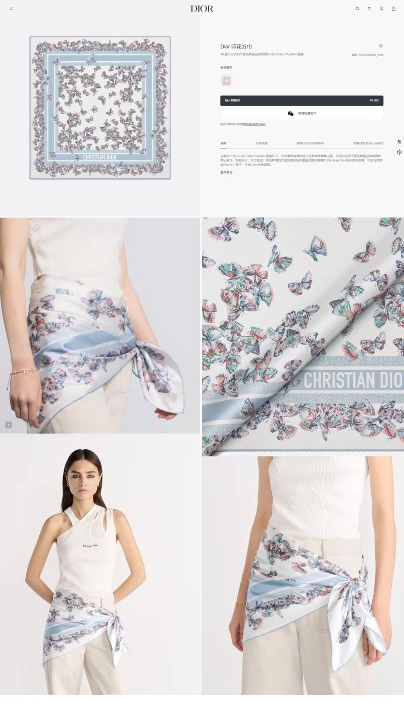 Christian Dior Scarf