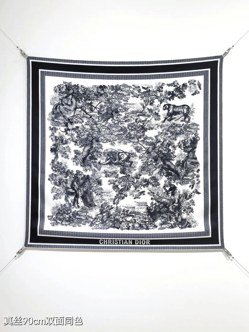 Christian Dior Scarf