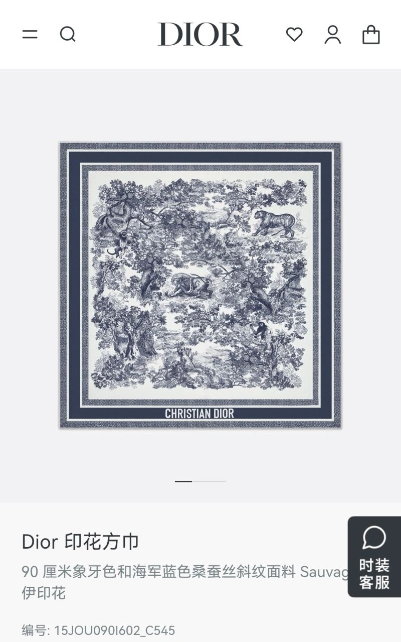 Christian Dior Scarf