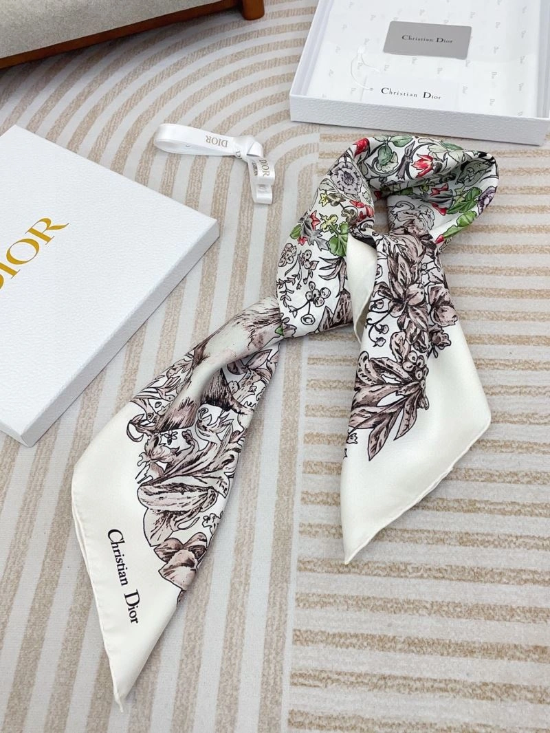 Top match Christian Dior Scarf