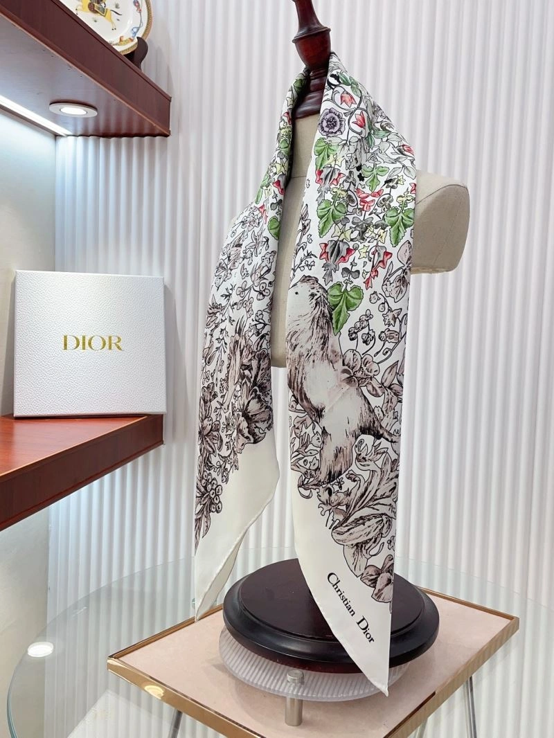 Top match Christian Dior Scarf