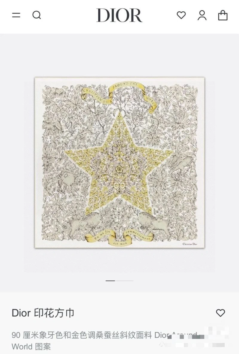 Christian Dior Scarf