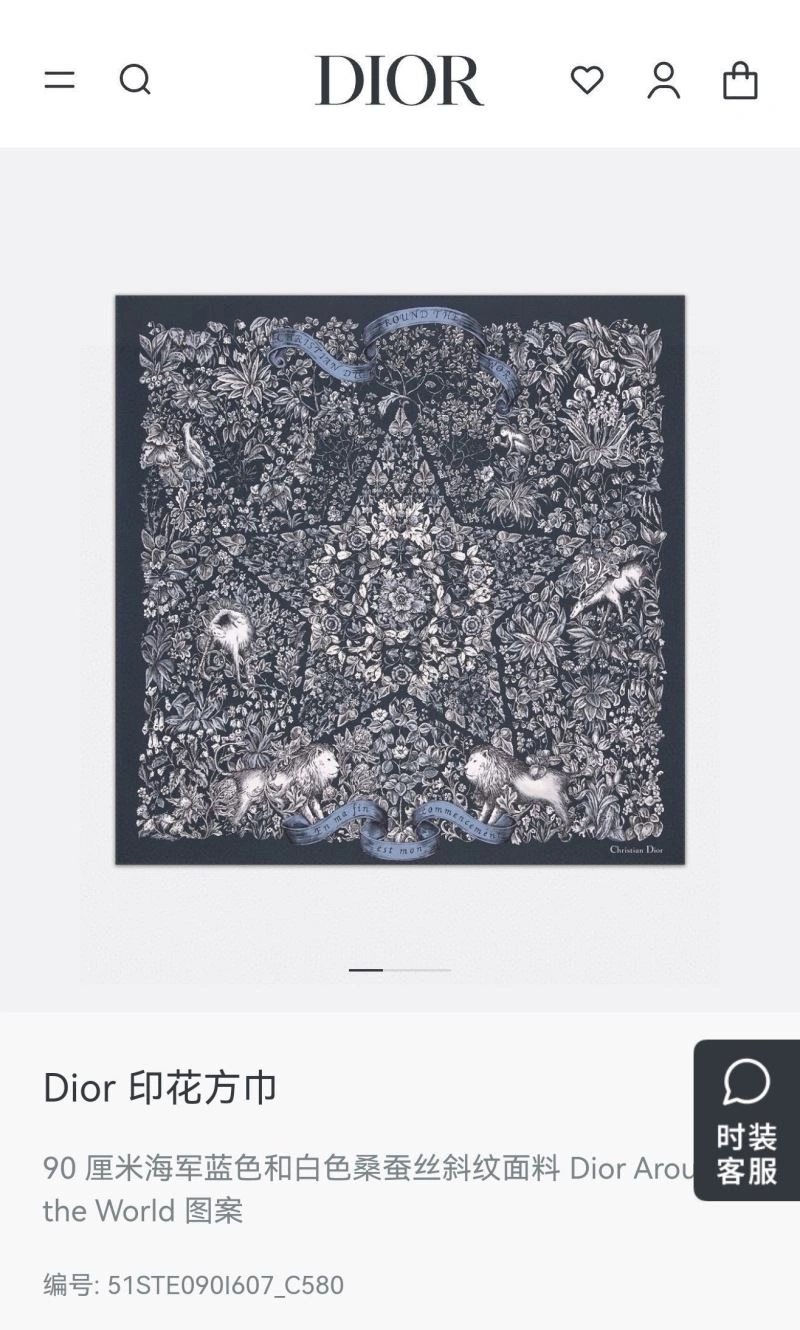 Christian Dior Scarf