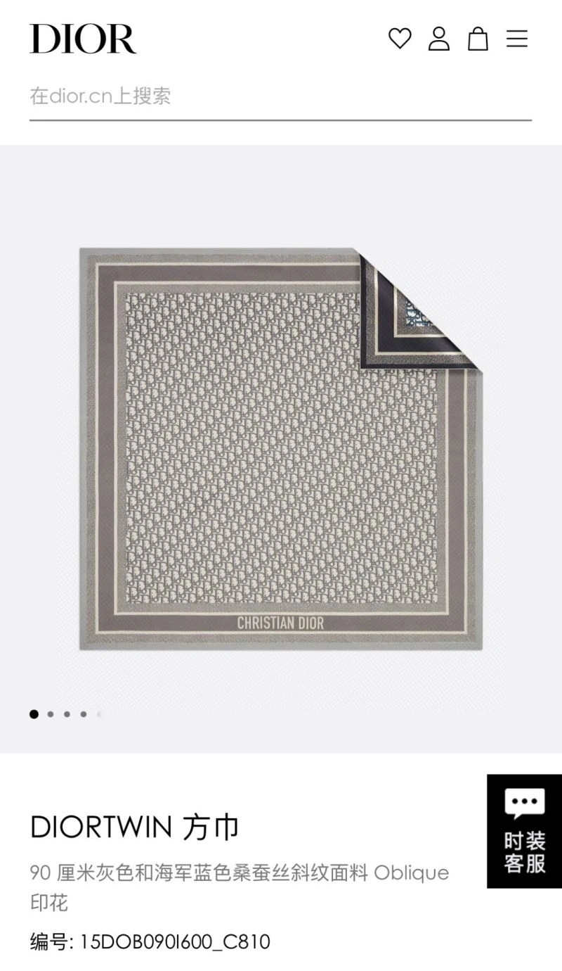 Christian Dior Scarf