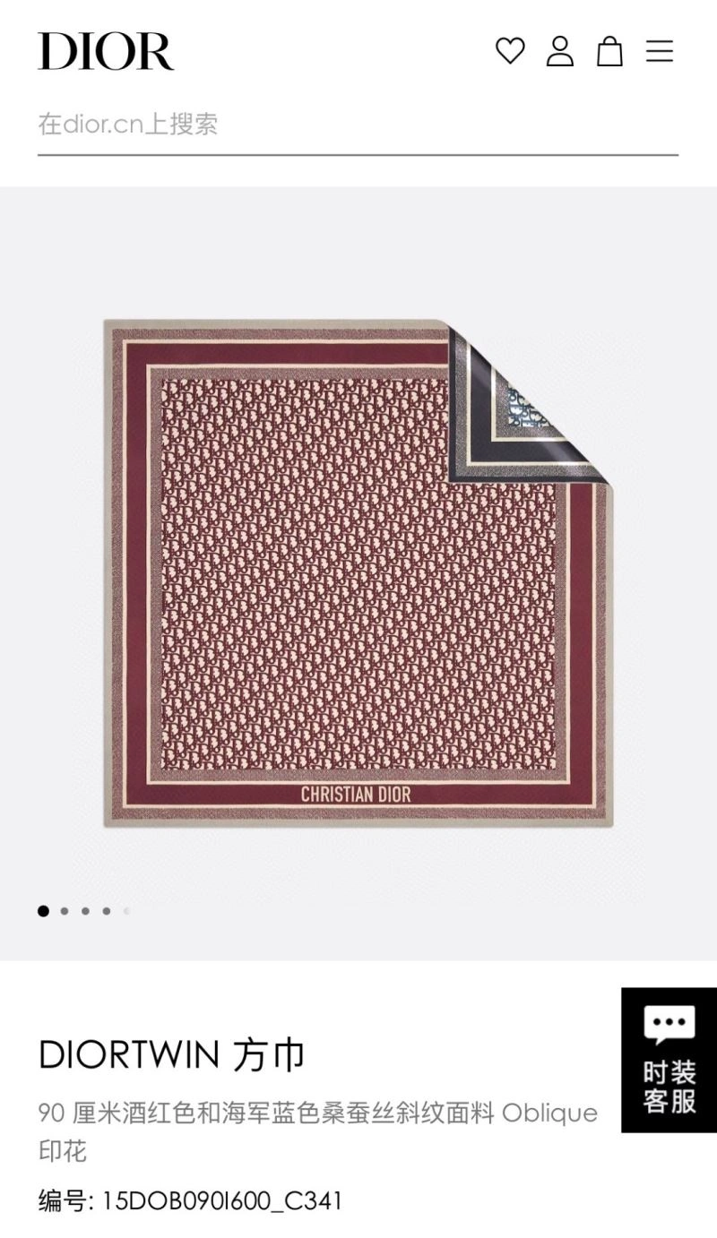Christian Dior Scarf