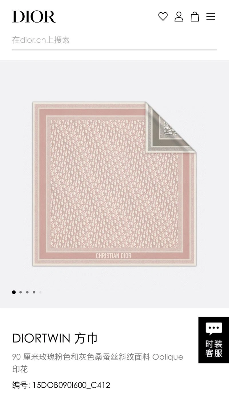 Christian Dior Scarf
