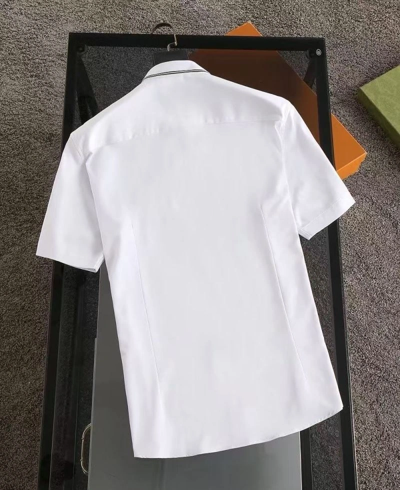 Accurate model Christian Dior Shirts