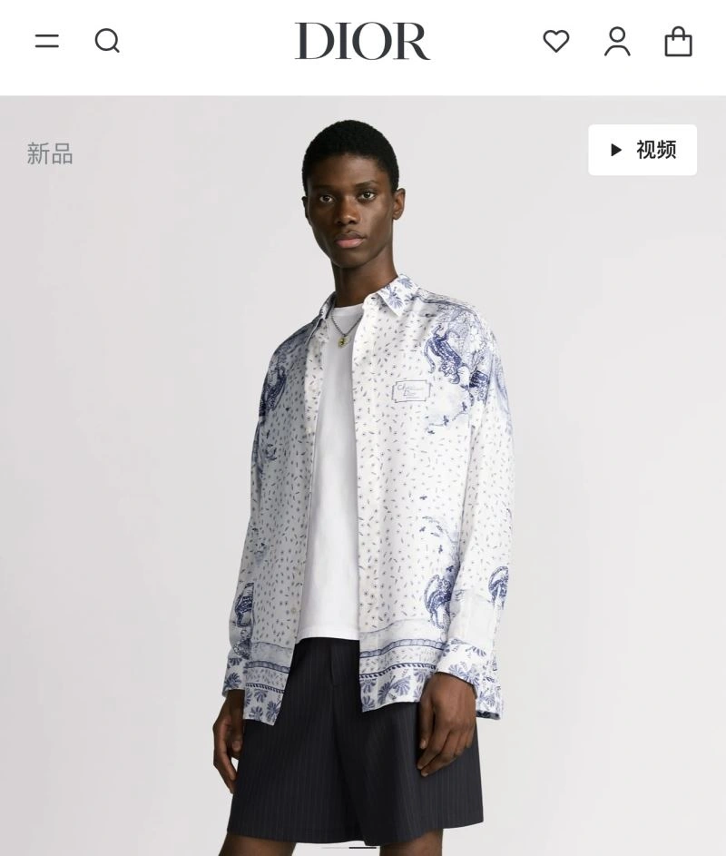 OEM Christian Dior Shirts