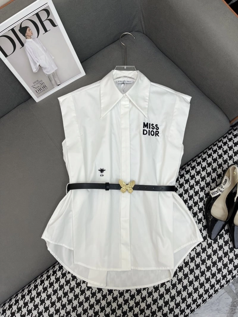 1:1 copy Christian Dior Shirts