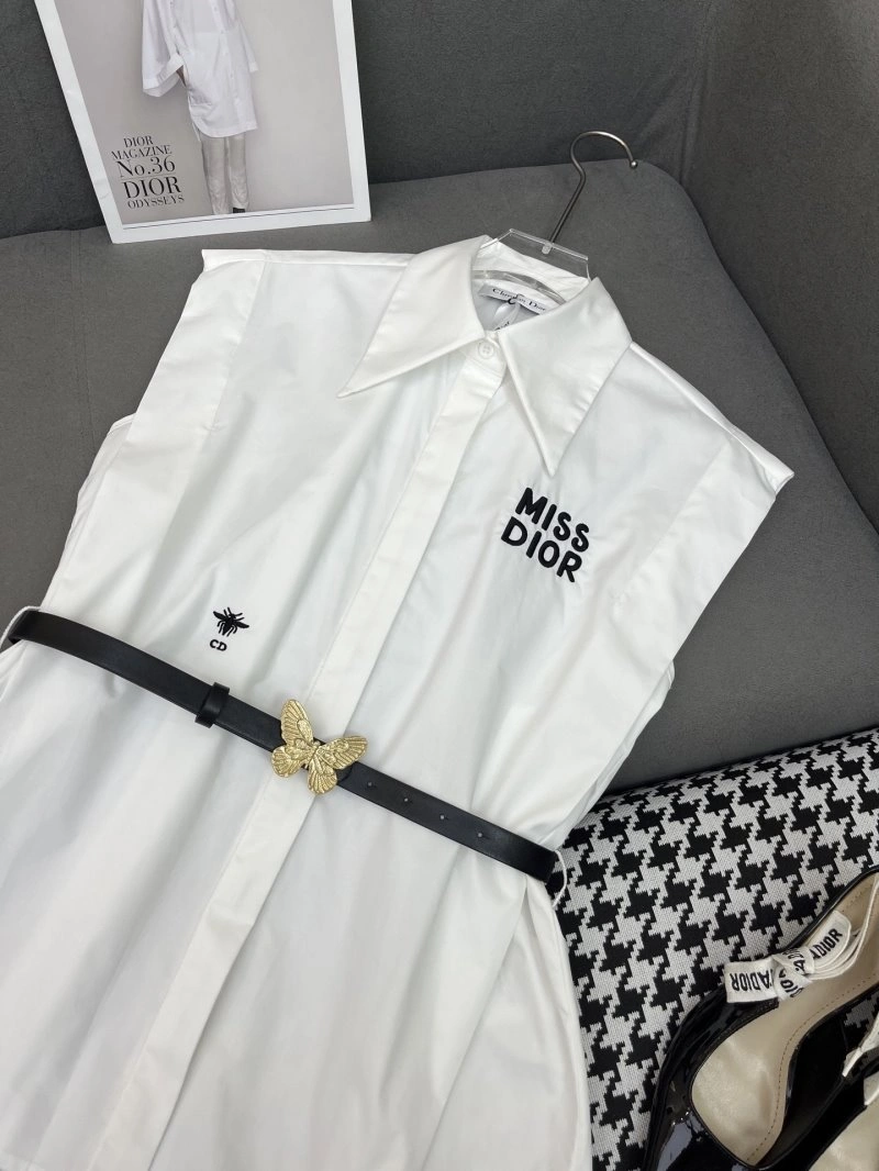 1:1 copy Christian Dior Shirts