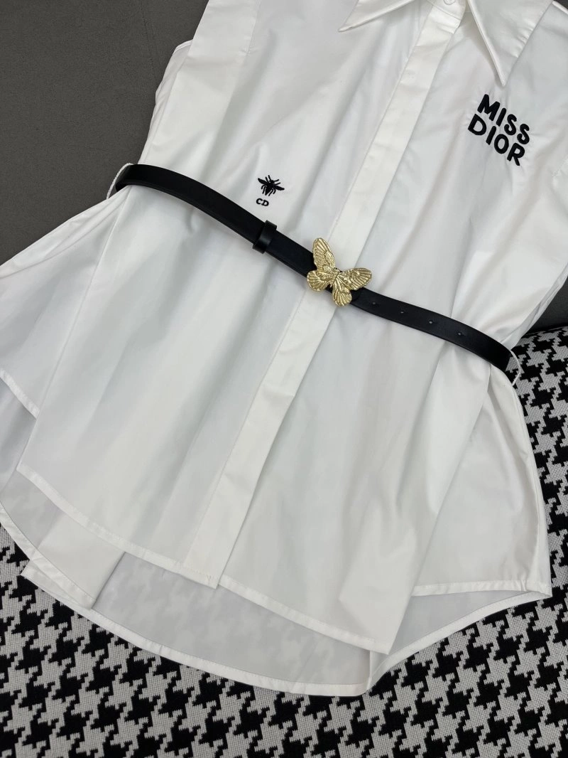 1:1 copy Christian Dior Shirts