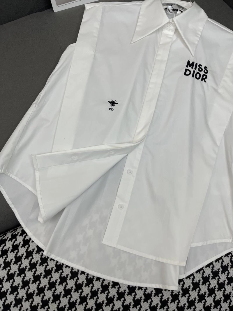 1:1 copy Christian Dior Shirts