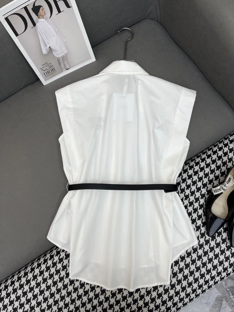 1:1 copy Christian Dior Shirts