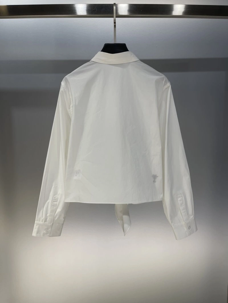 Cut-rate Christian Dior Shirts