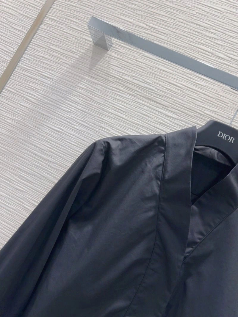 Economical Christian Dior Shirts